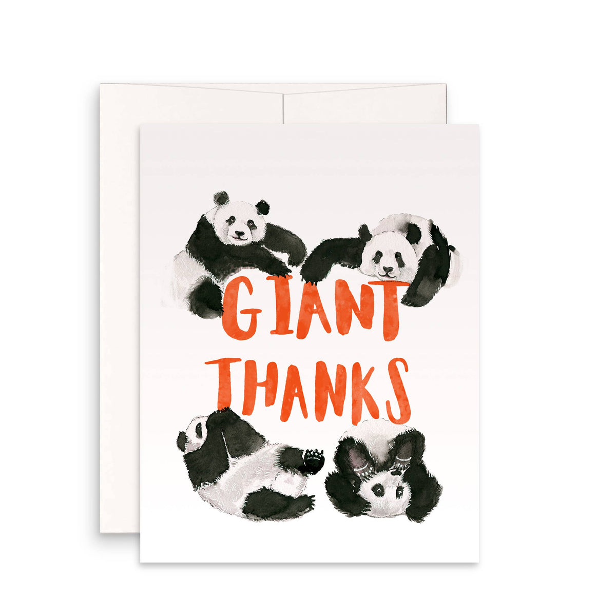 Giant Panda Thanks Thank You Greeting Card– Alair Gift Shop